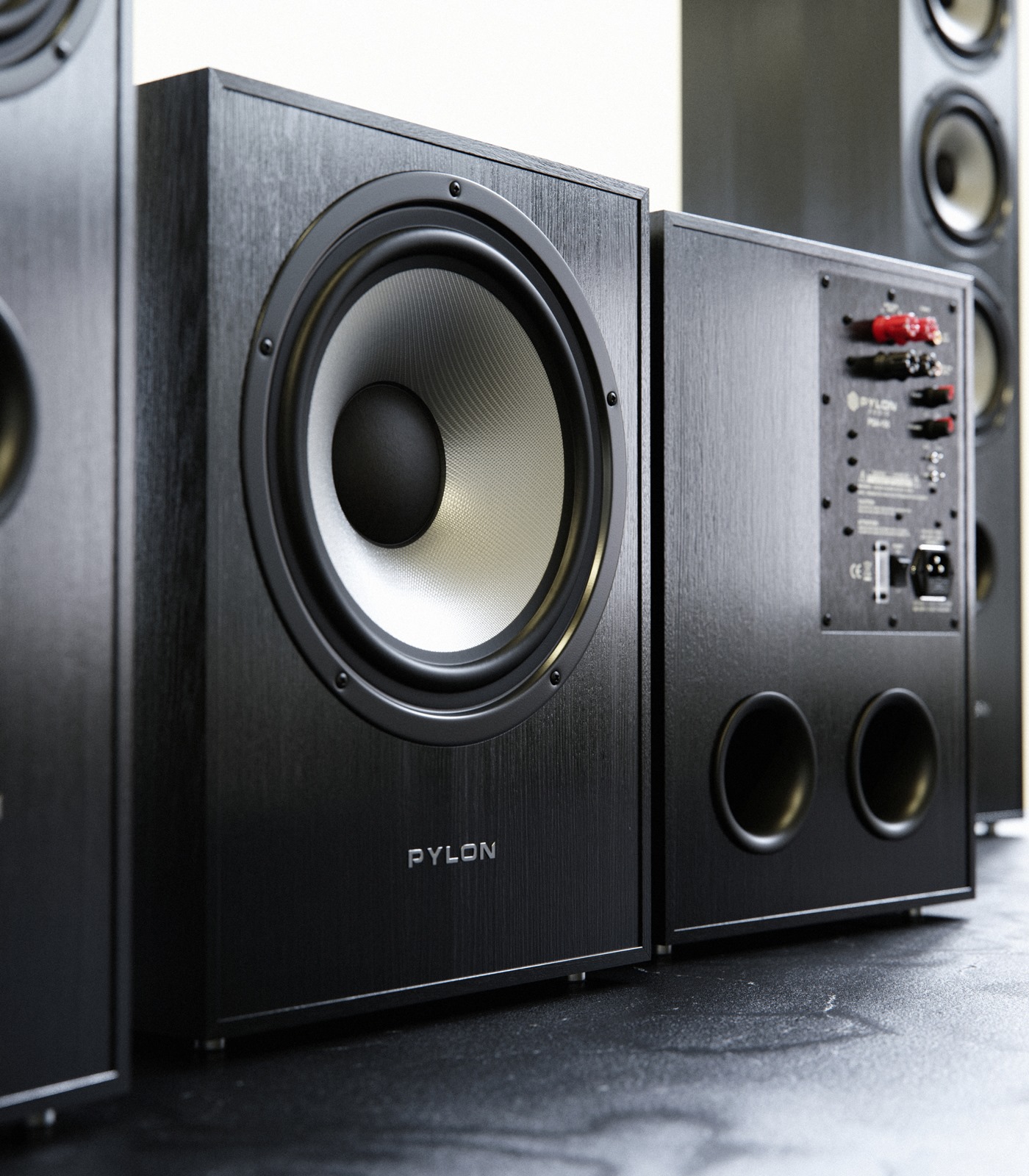 Pylon Audio Pearl Sub: completando la serie Pearl - Werner Música